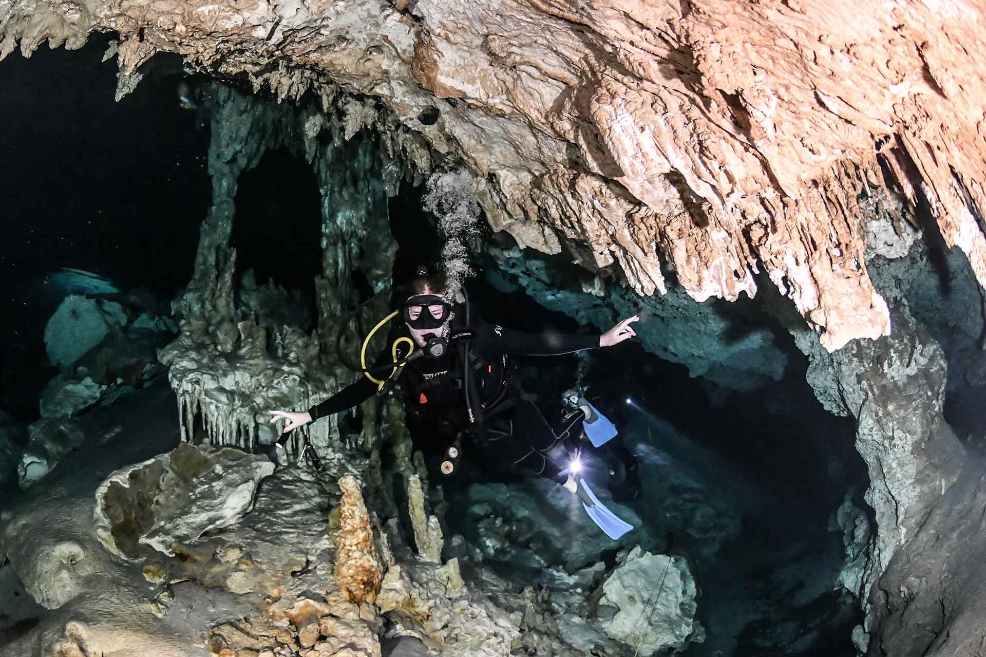 Travel & Dive | The Travel Agency for DiversDive in the largest ...